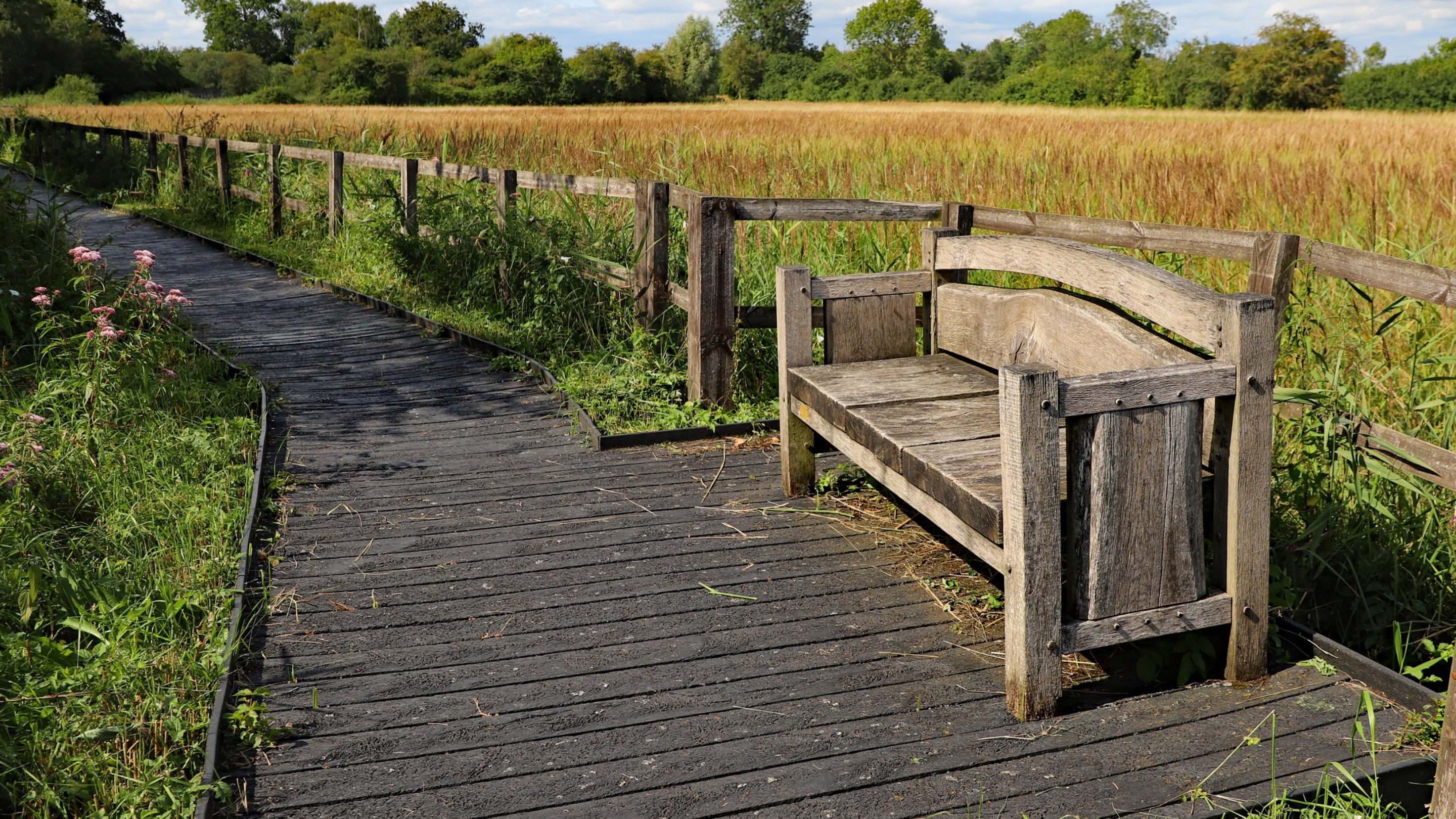 Wicken Rose Cottage Cambridgeshire | National Trust