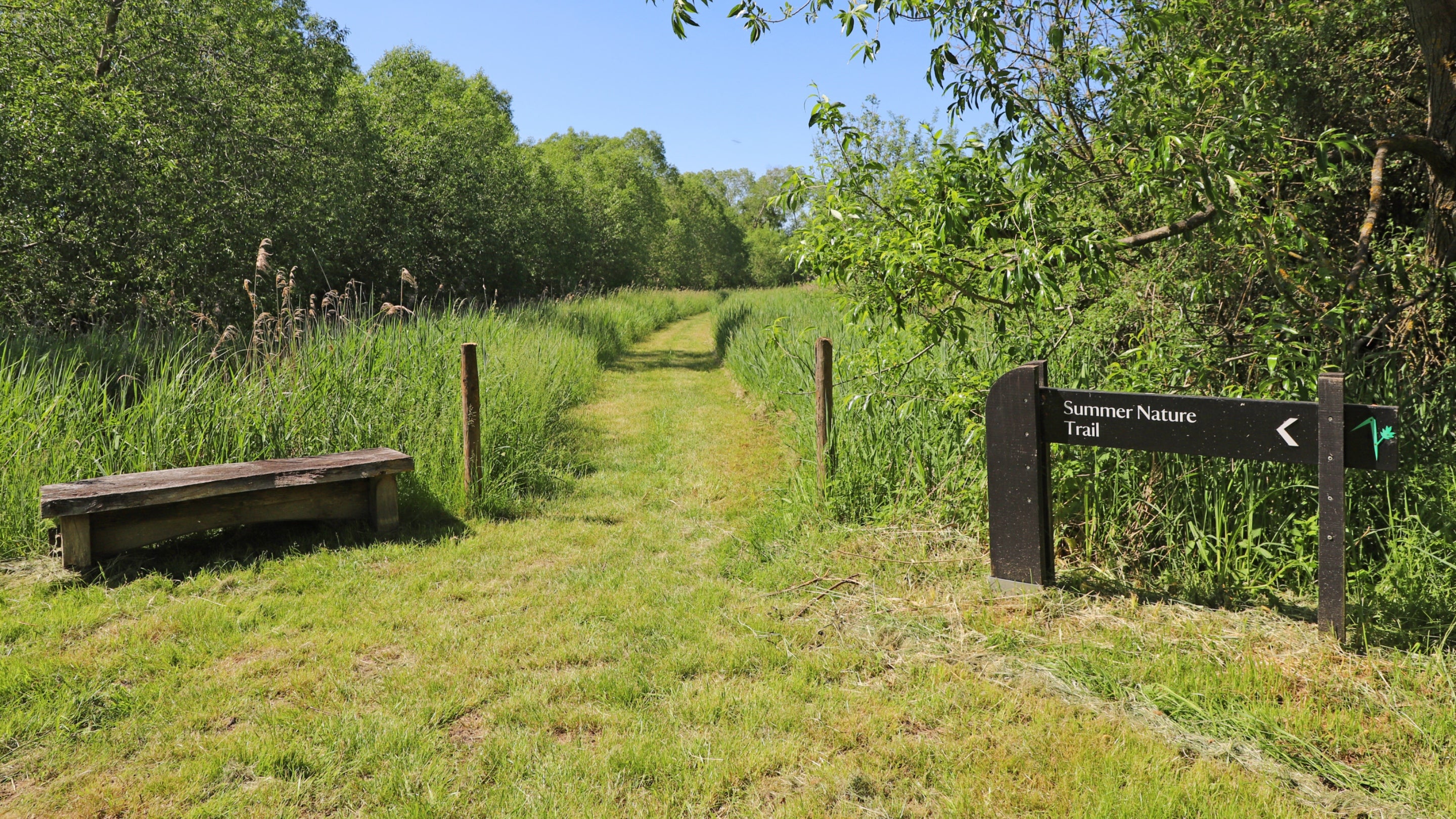 Wicken Rose Cottage Cambridgeshire | National Trust