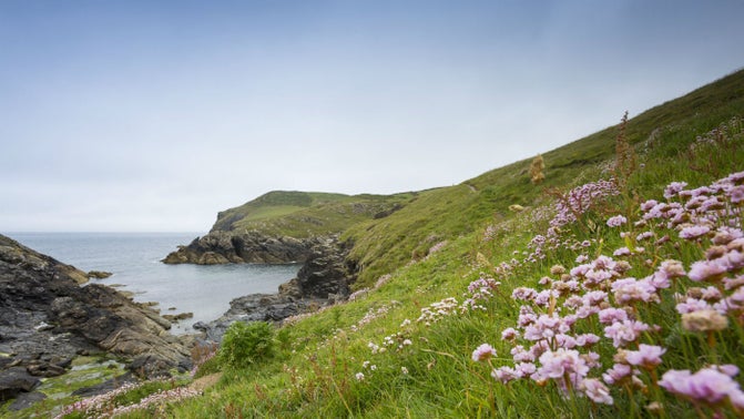 Doyden Stable Cottage Cornwall | National Trust