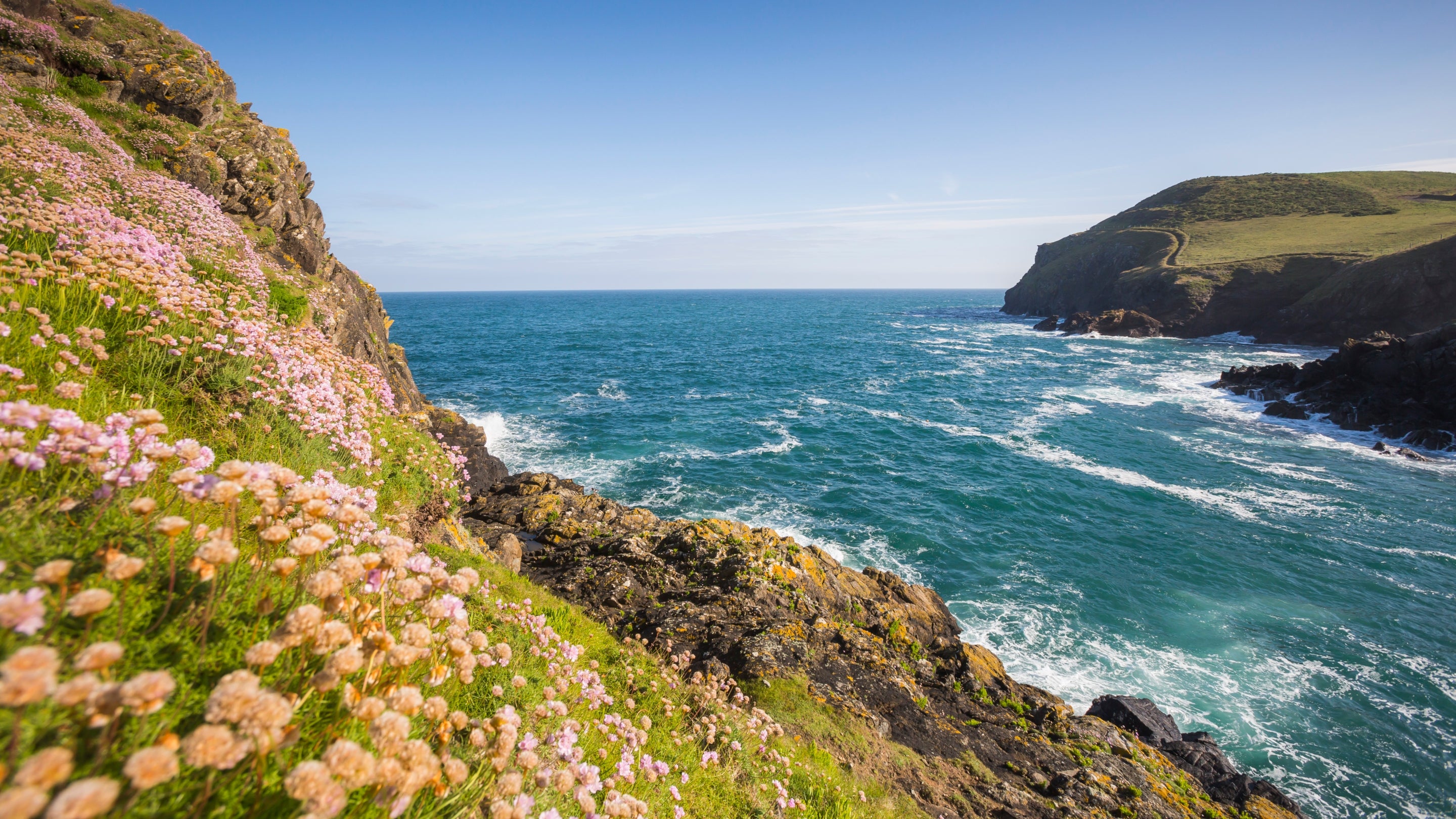 Doyden Stable Cottage Cornwall | National Trust