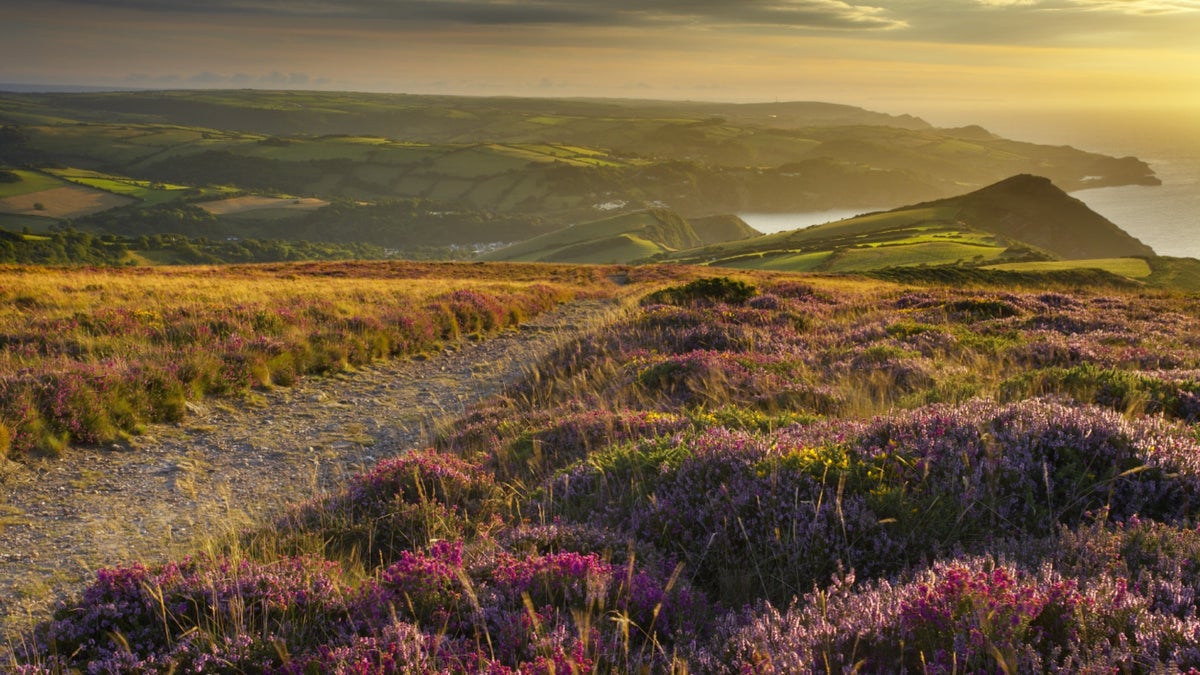 Holidays in Devon | Find a place to stay | National Trust