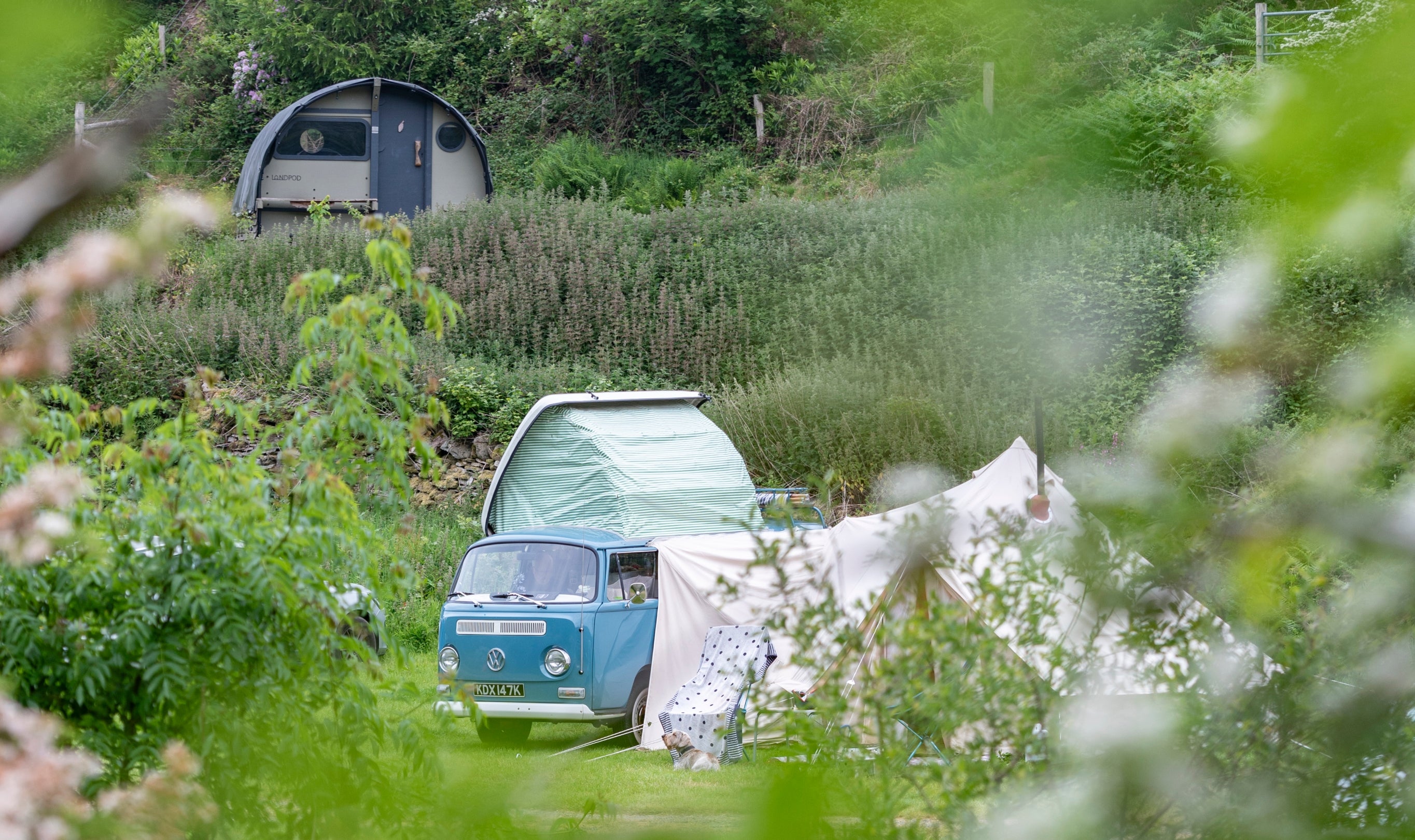 Cloud Farm Campsite Devon | National Trust
