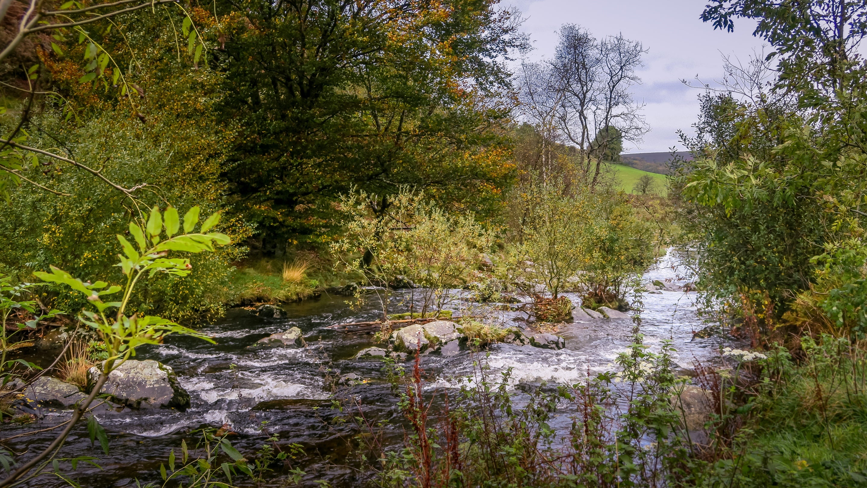 Cloud Farm Campsite Devon | National Trust