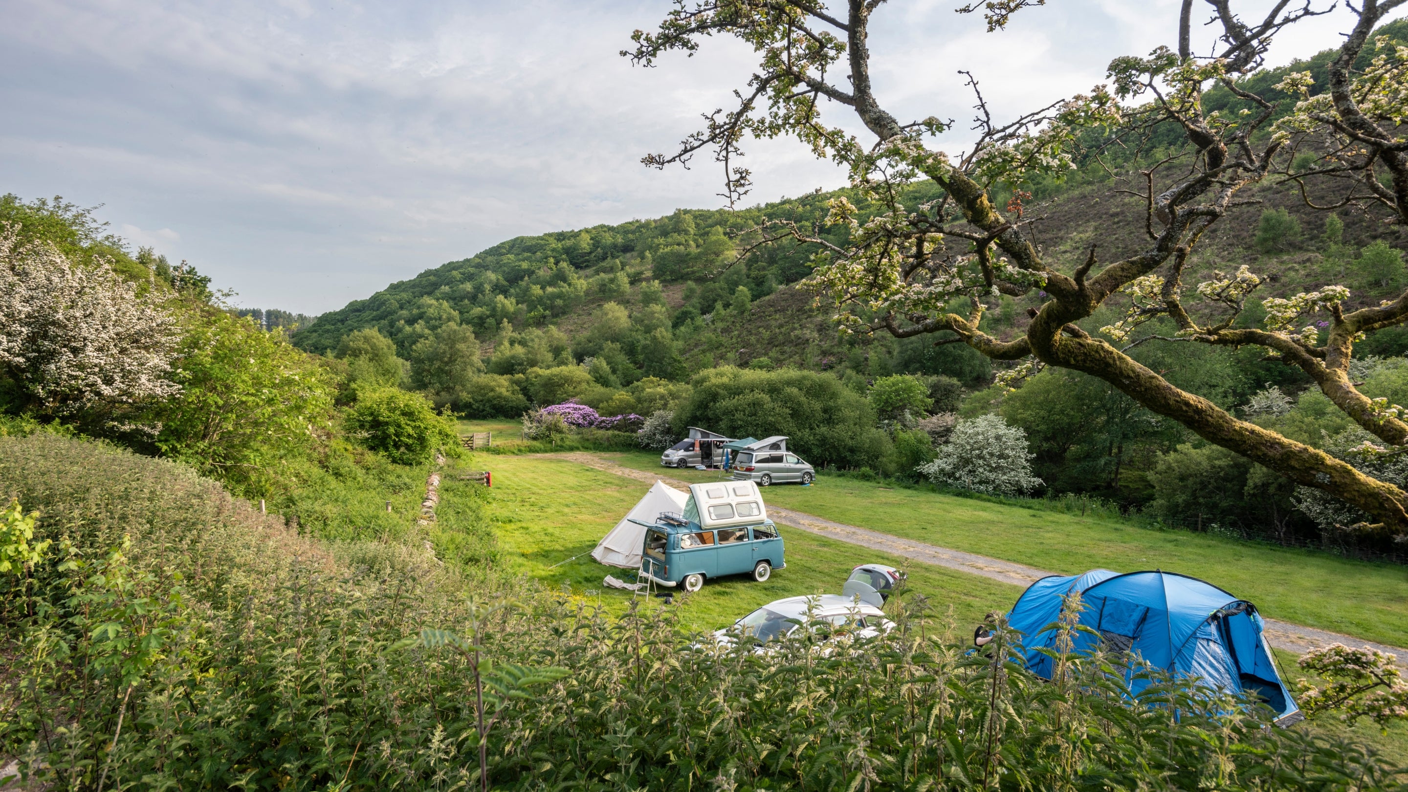 Cloud Farm Campsite Devon | National Trust