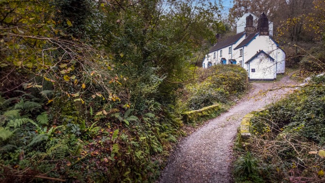Peppercombe Coastguard Cottage 1 Devon | National Trust