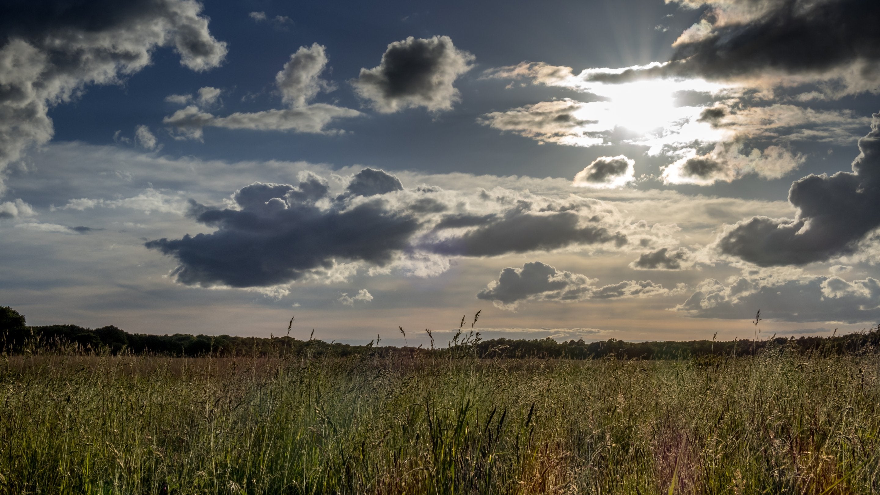 Middlebere Farmhouse Dorset | National Trust