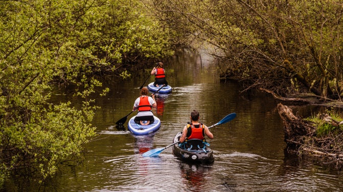 Low Wray Campsite Lake District | National Trust