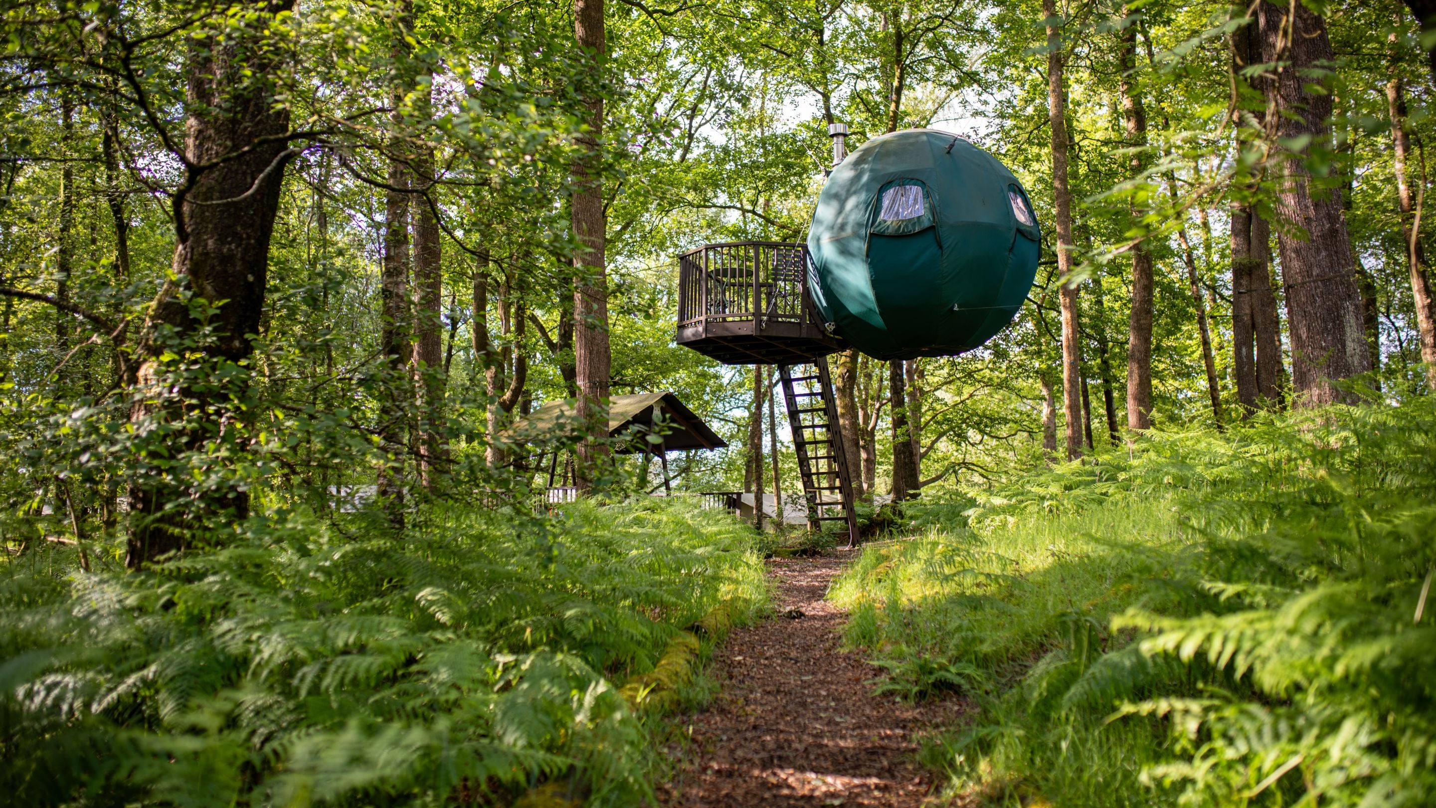 Low Wray Campsite Lake District | National Trust