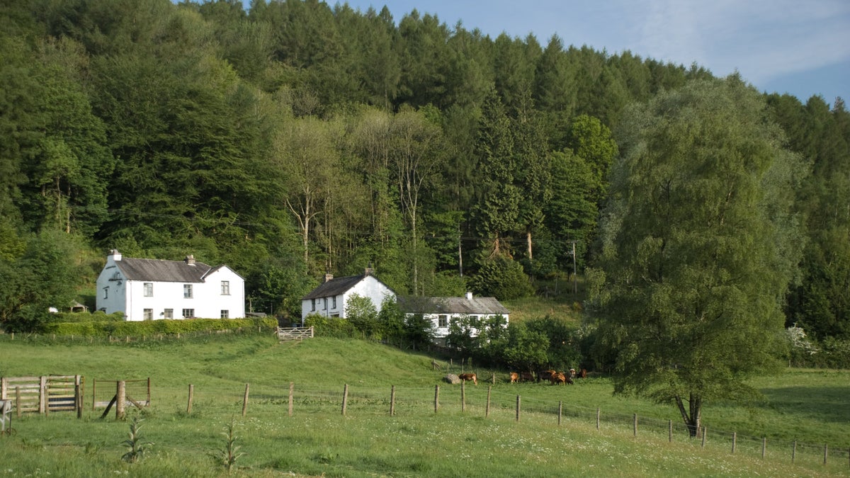 Restharrow Lake District | National Trust