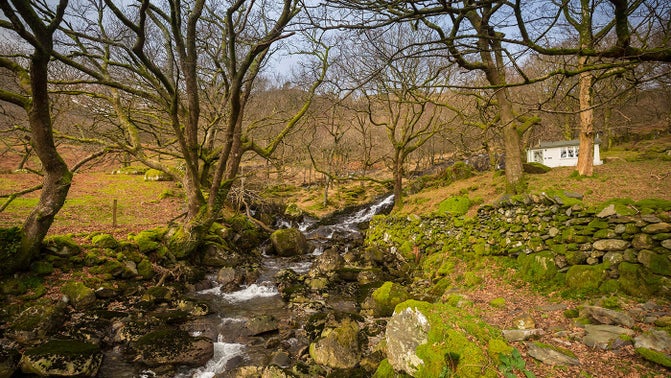 Cartref Wales | National Trust
