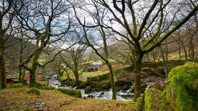 Cartref Wales | National Trust