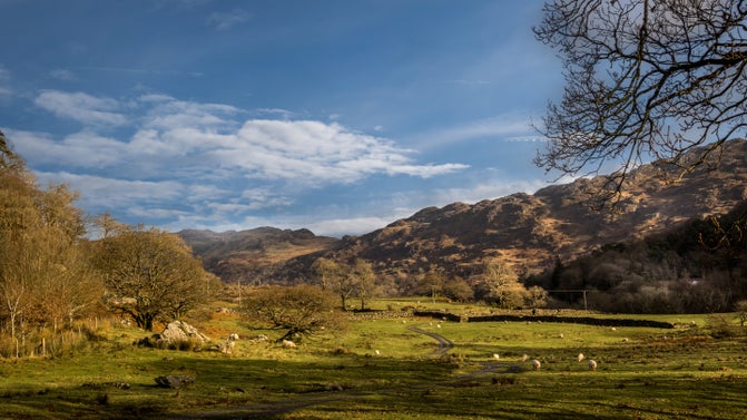 Cartref Wales | National Trust
