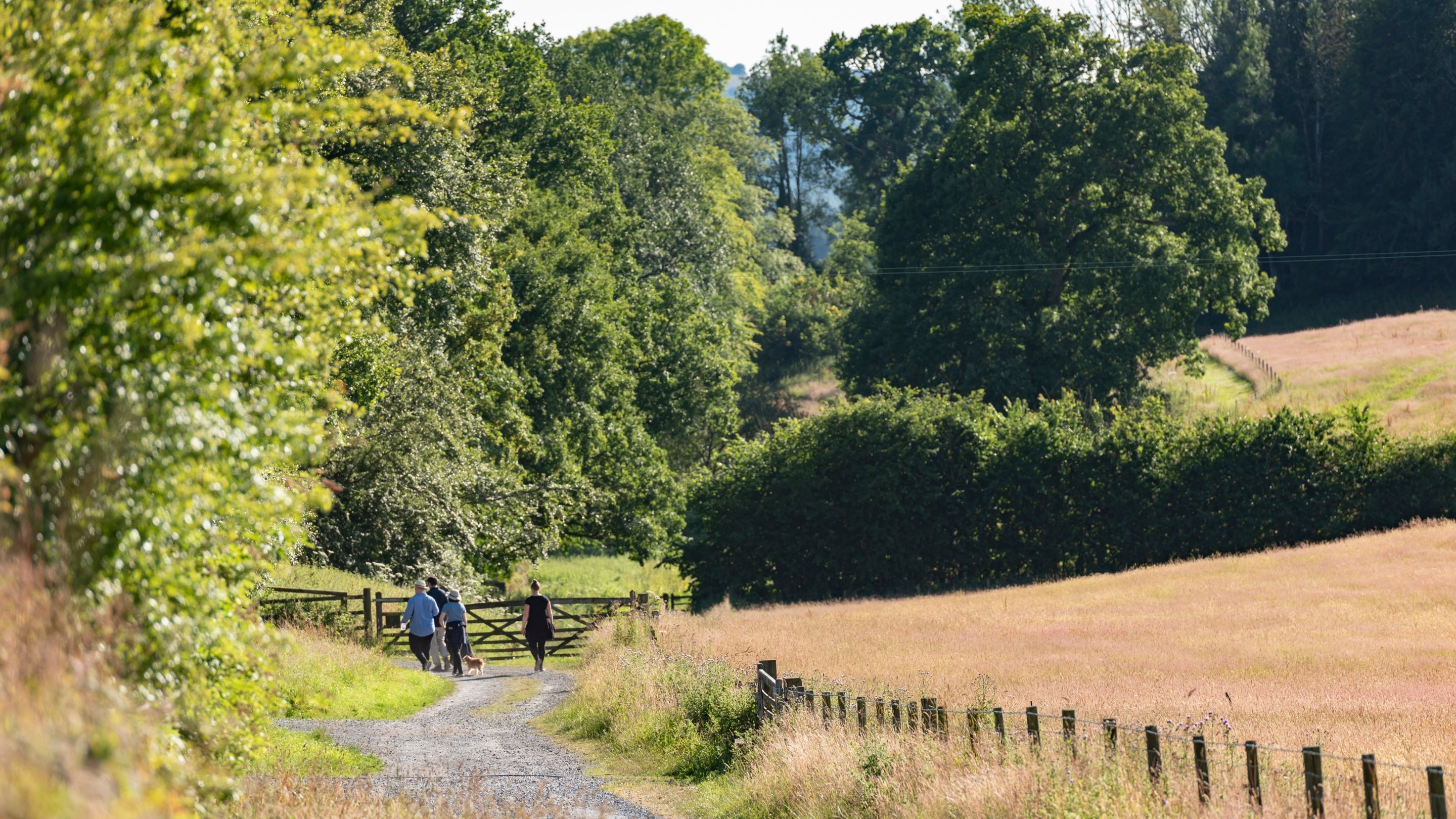 Dinefwr Home Farm Wales | National Trust