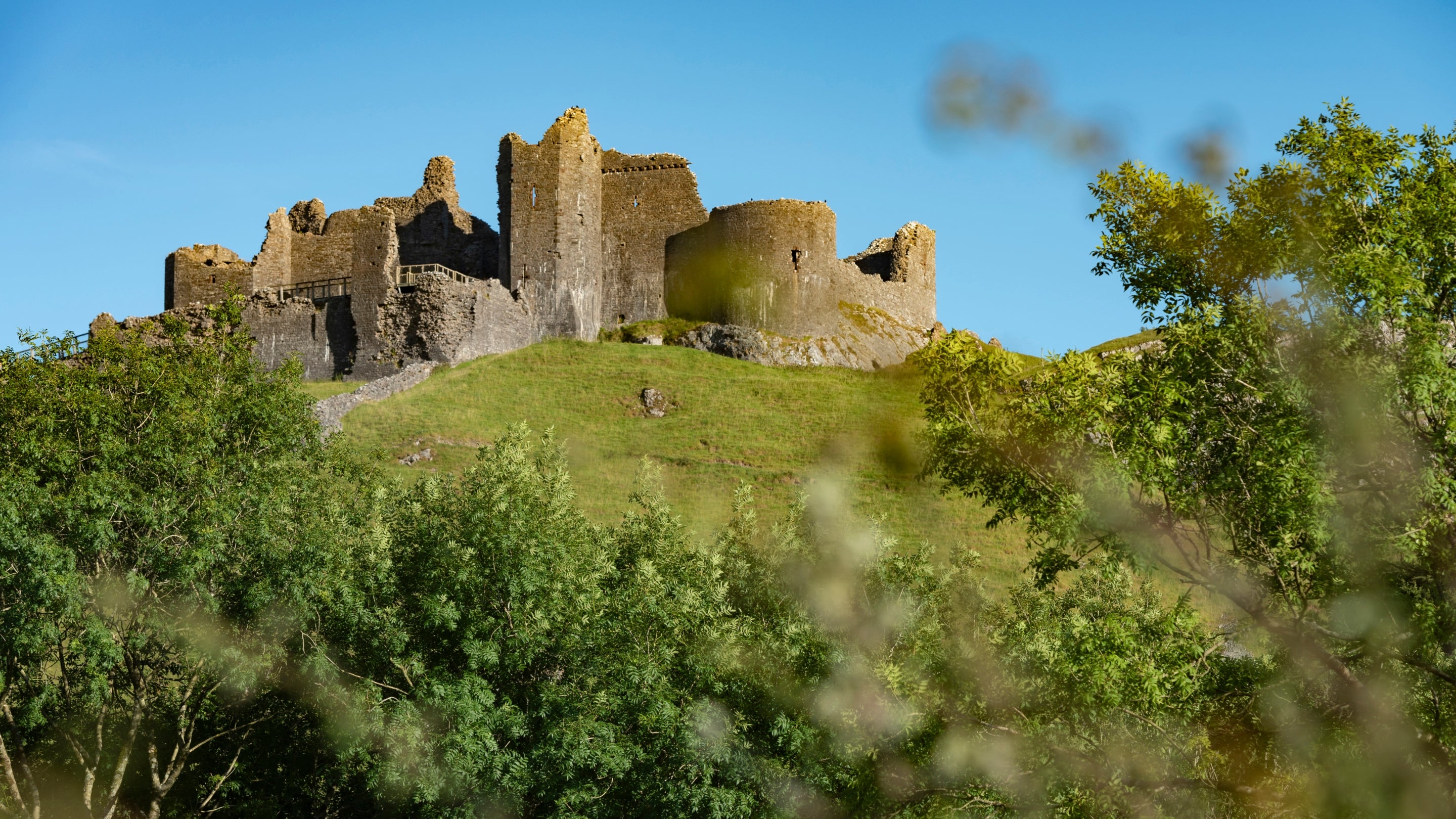 Dinefwr Home Farm Wales | National Trust