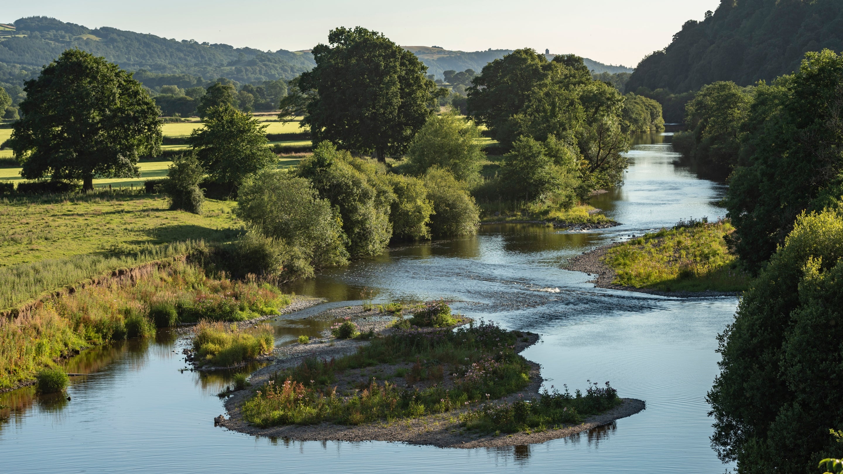 Dinefwr Home Farm Wales | National Trust