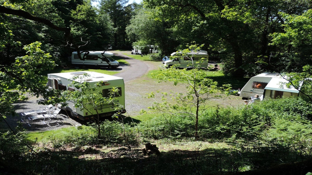 Dolaucothi Caravan and Motorhome Park Wales | National Trust