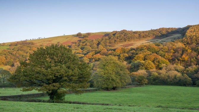 Dolaucothi Caravan and Motorhome Park Wales | National Trust