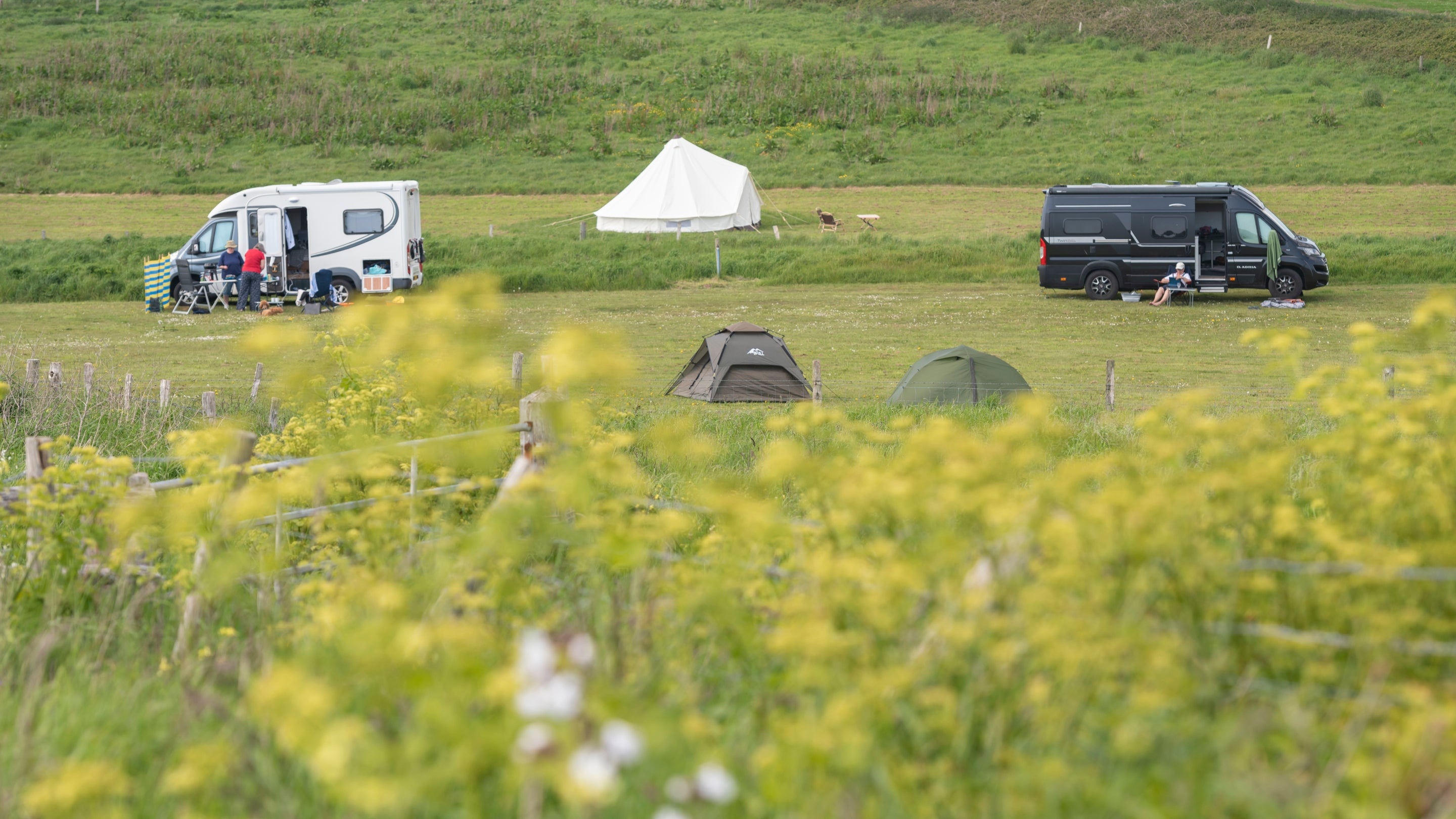 Gupton Farm Campsite Wales | National Trust