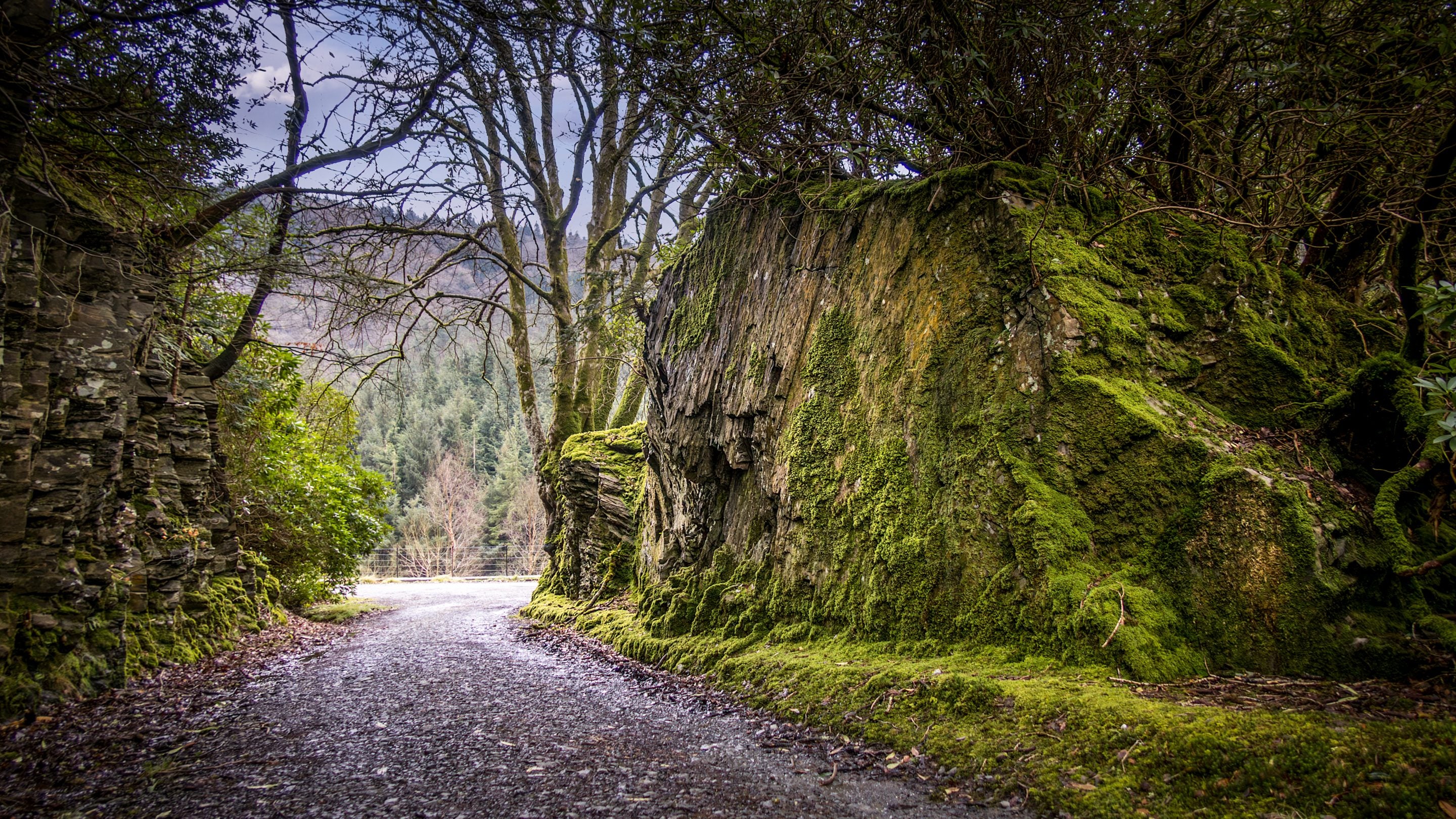 Hawthorn Cottage Wales | National Trust