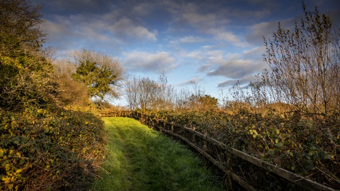 Little Craig y borion Wales | National Trust