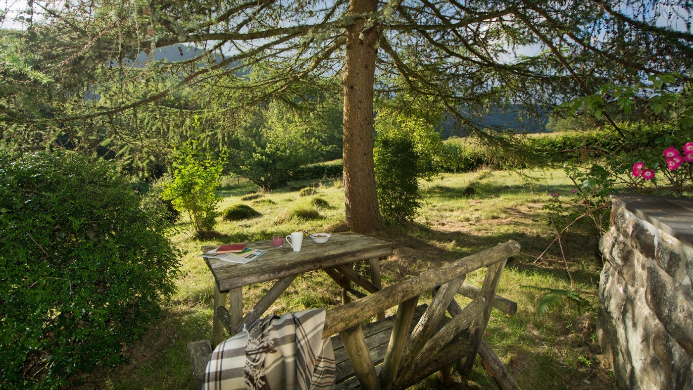 Nant Las Wales | National Trust
