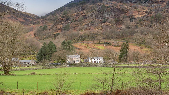 Y Wenallt Wales | National Trust