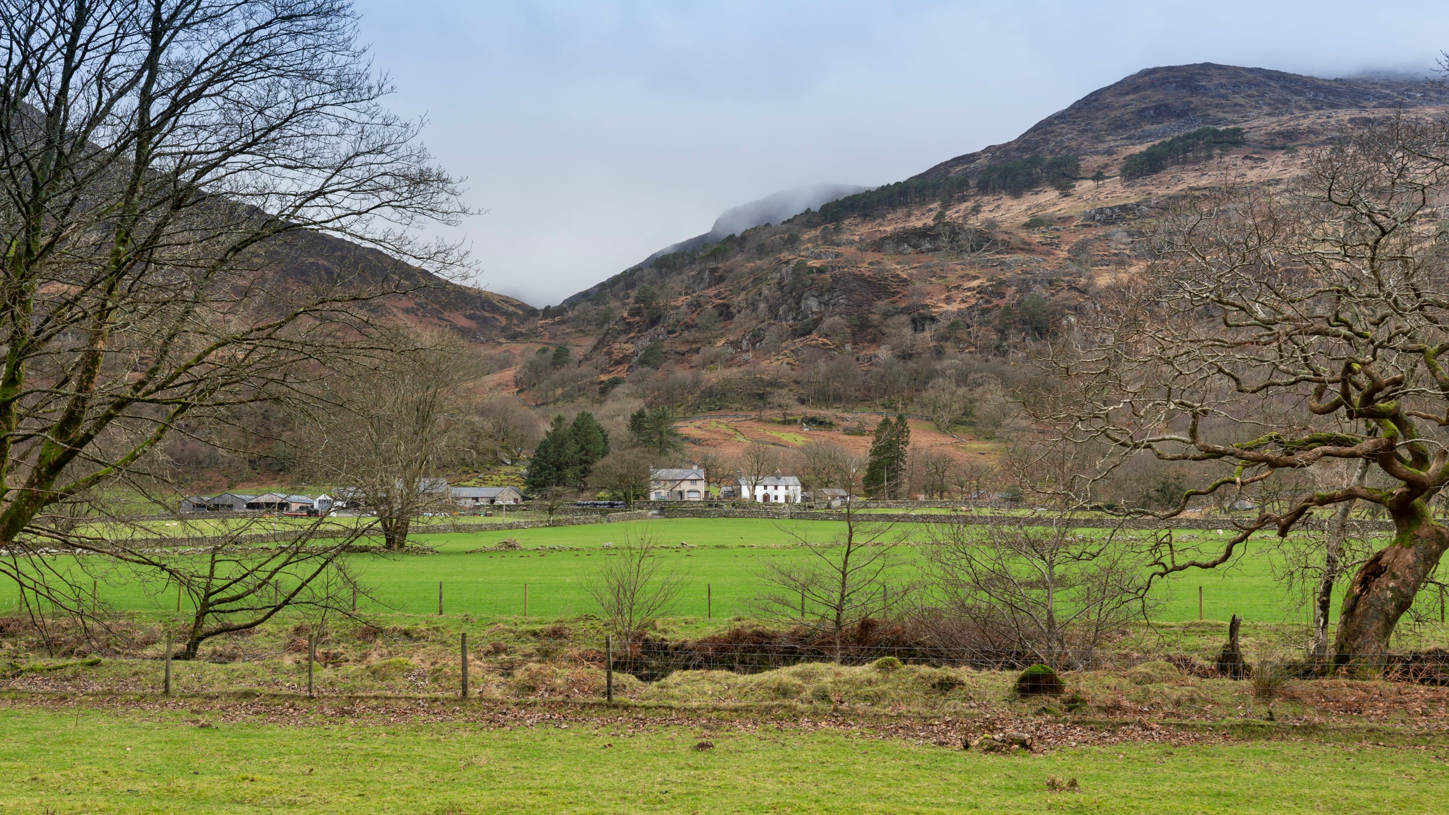 Y Wenallt Wales | National Trust