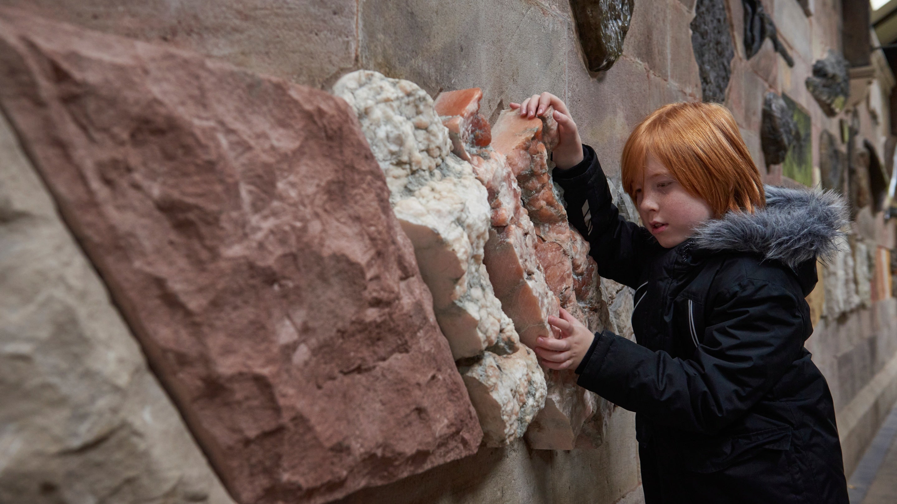 Common fossils to find | Coast | National Trust