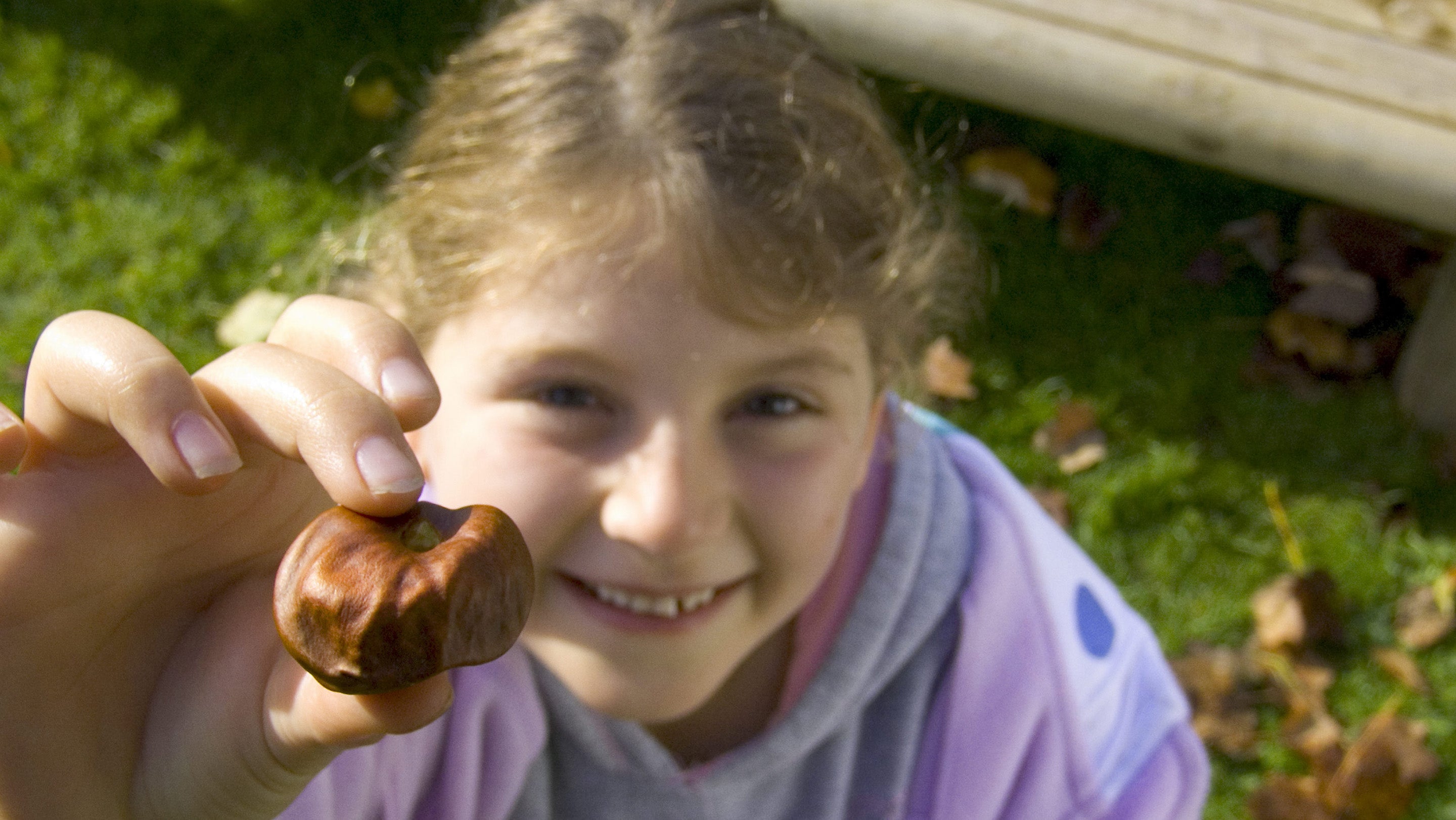 Canons Ashby | Northamptonshire | National Trust