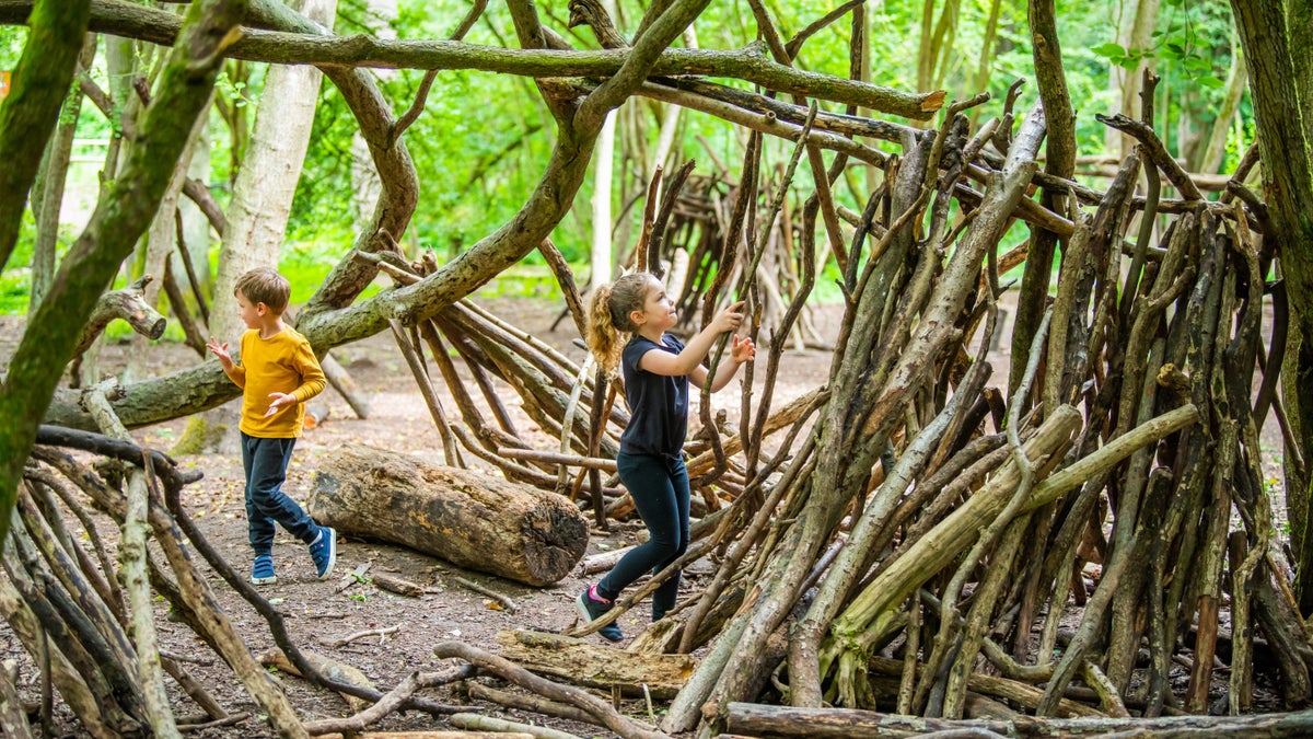 Build a den │ 50 things | National Trust