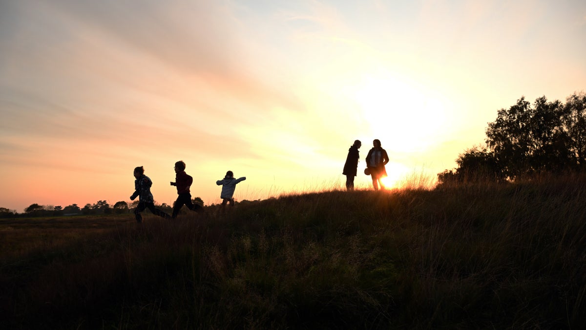 Go on a nature walk at night │ 50 things | National Trust