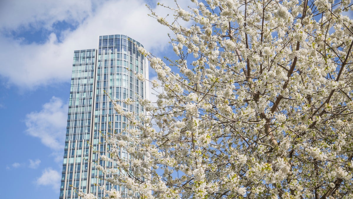 Our work in London | National Trust