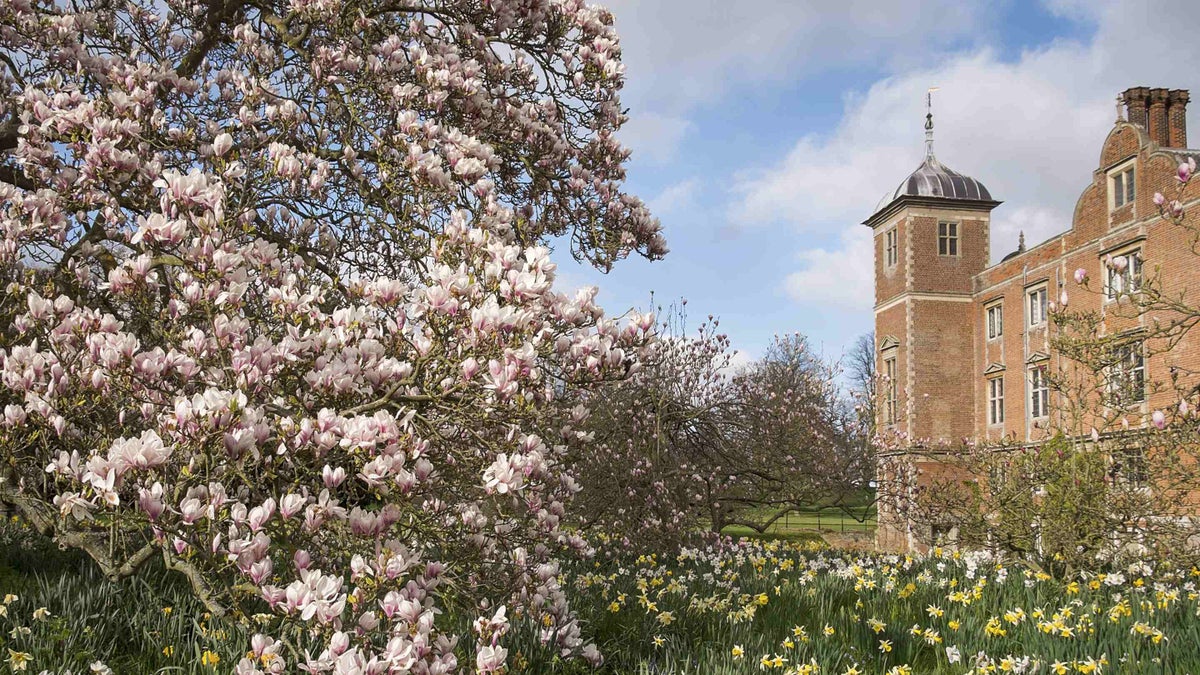 Houses and buildings to visit in Norfolk | National Trust
