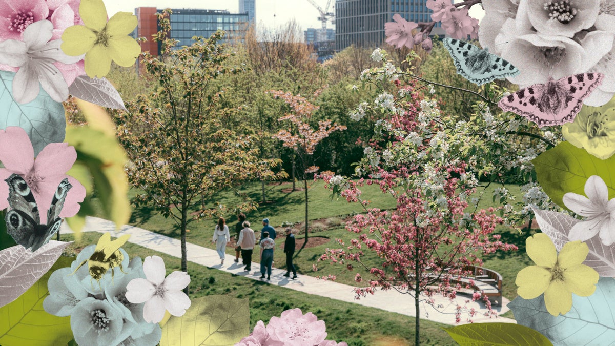 Read Simon Armitage's poems from Blossomise | National Trust