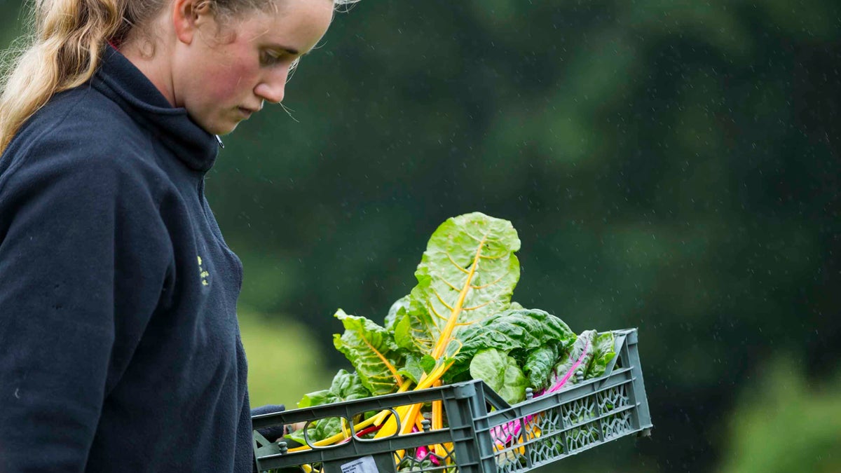 Our work in Knightshayes's garden | Devon | National Trust