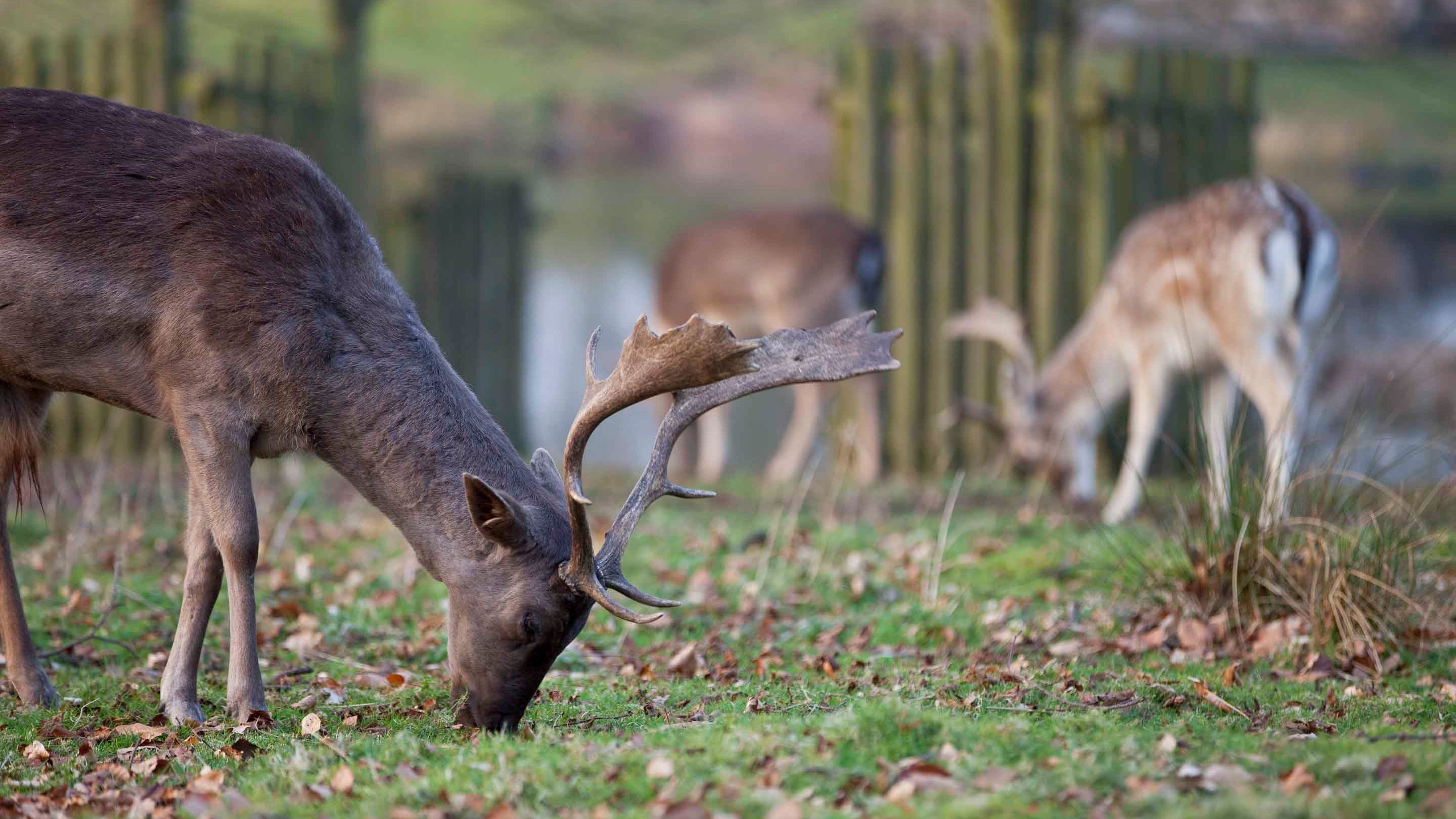 Cheshire | Find a place to stay | National Trust