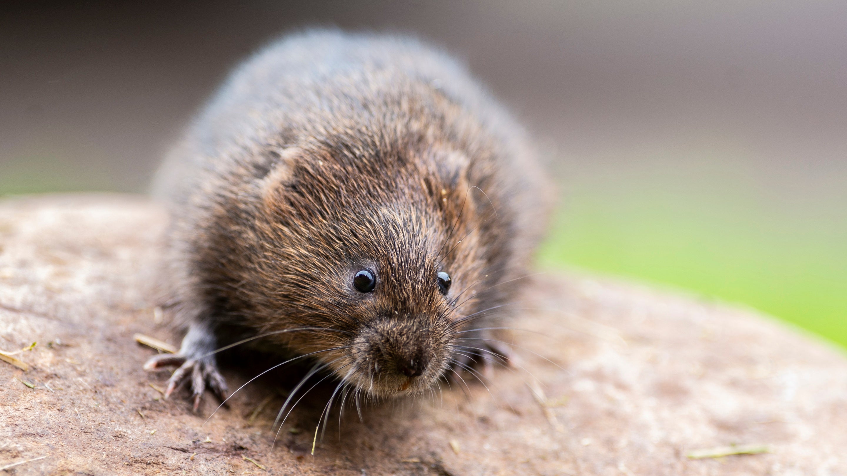 Best Days Out & Places To Visit in the UK | National Trust