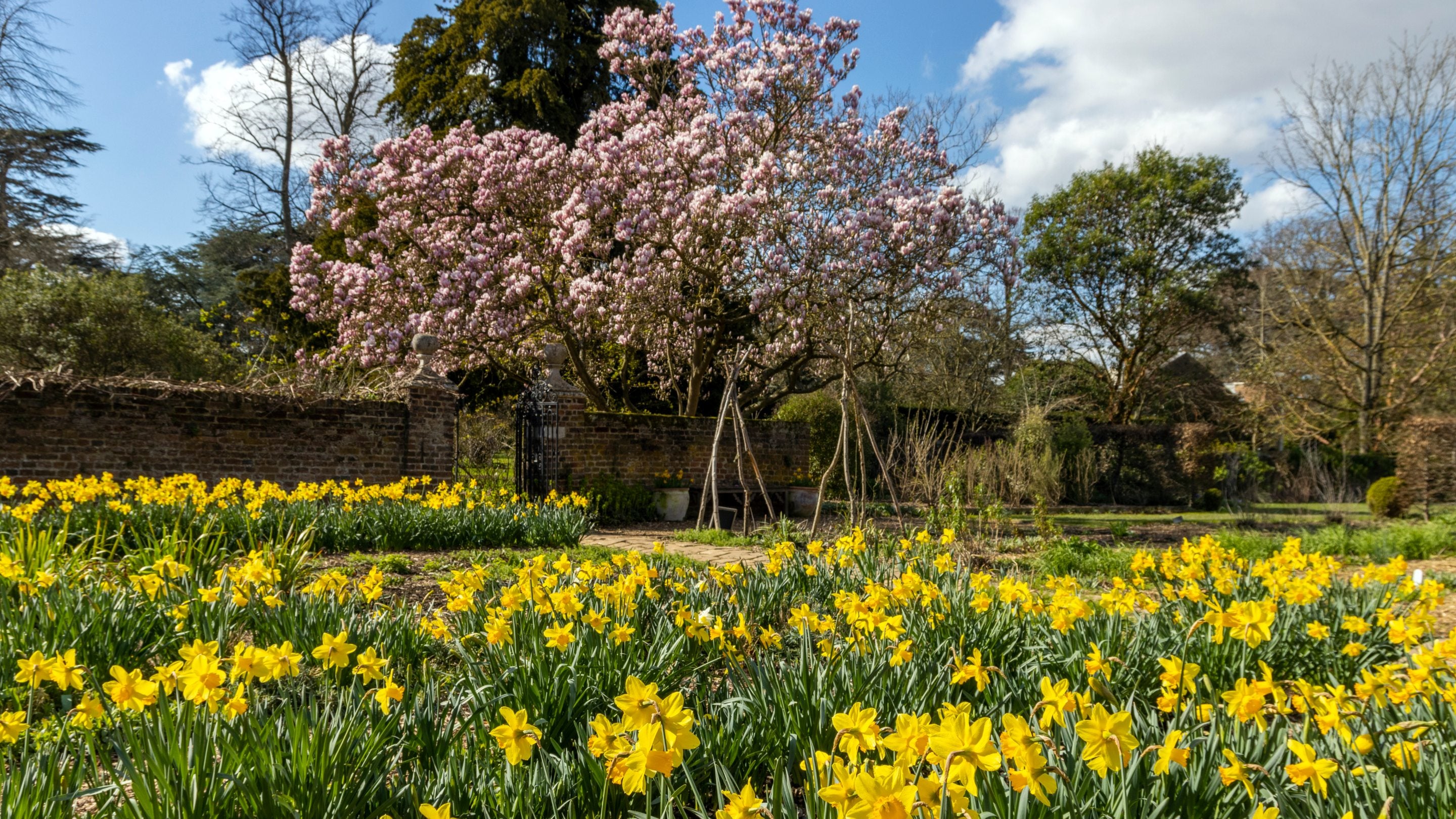 Osterley Park and House | London | National Trust