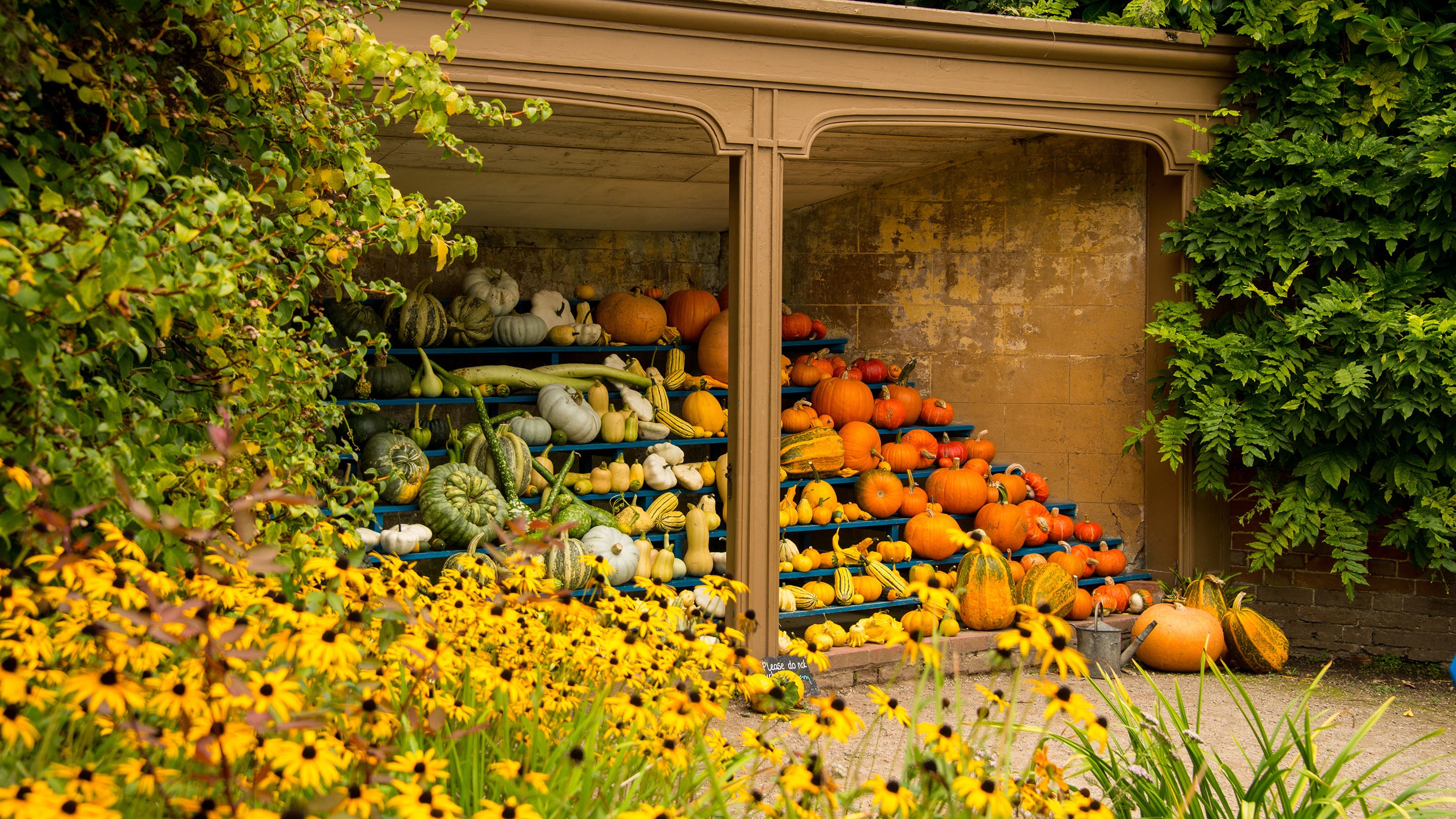 Visiting Calke Abbey's garden | Derbyshire | National Trust