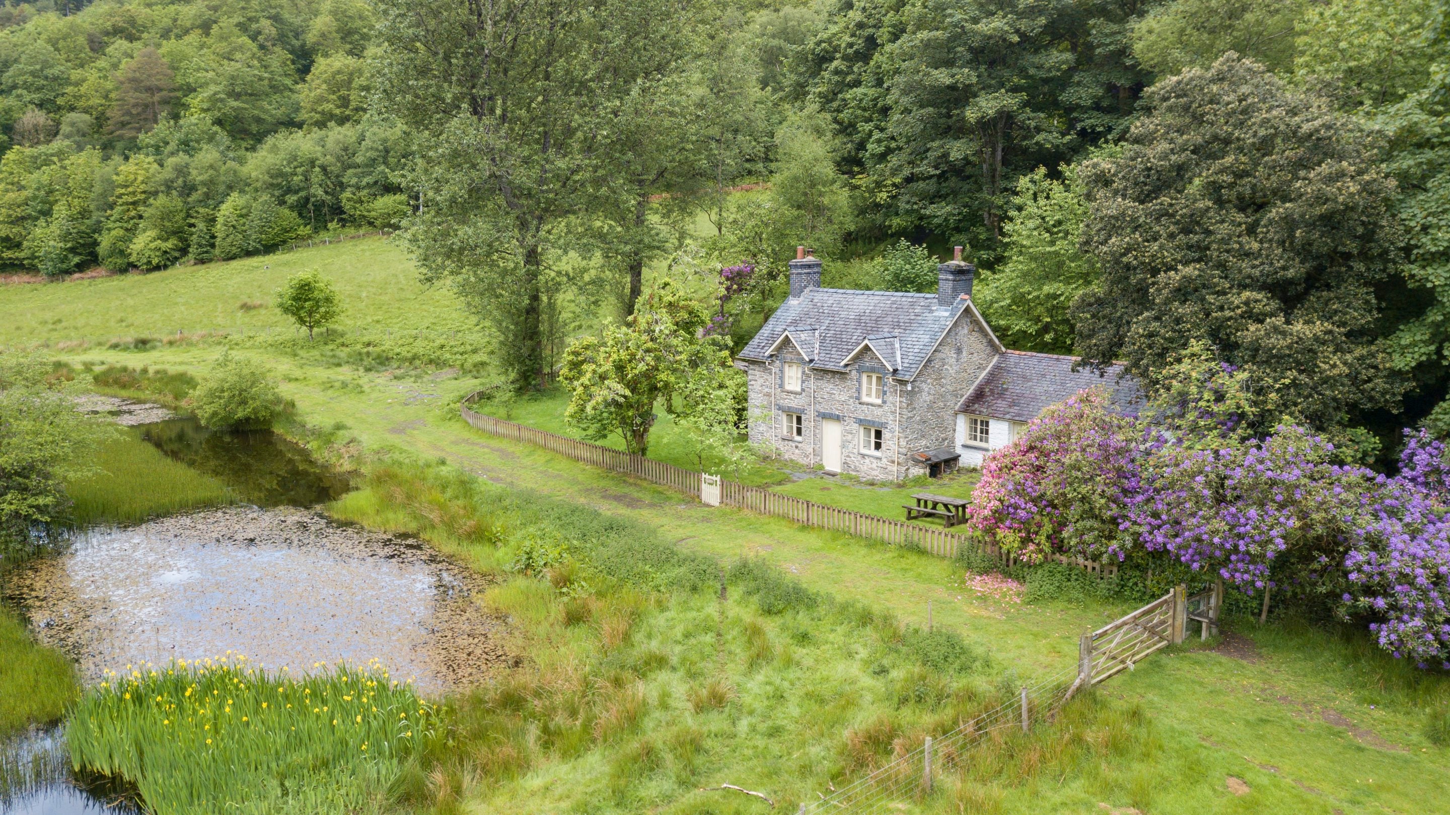 Press release | Media | National Trust