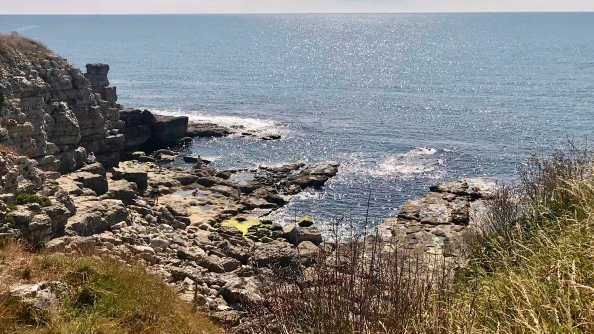 South Purbeck cliffs walk | Dorset | National Trust