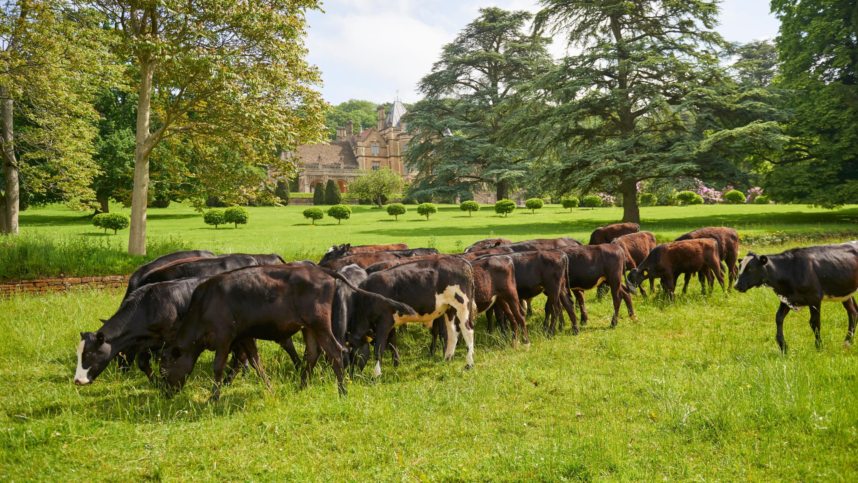 Residential and farm lettings | National Trust