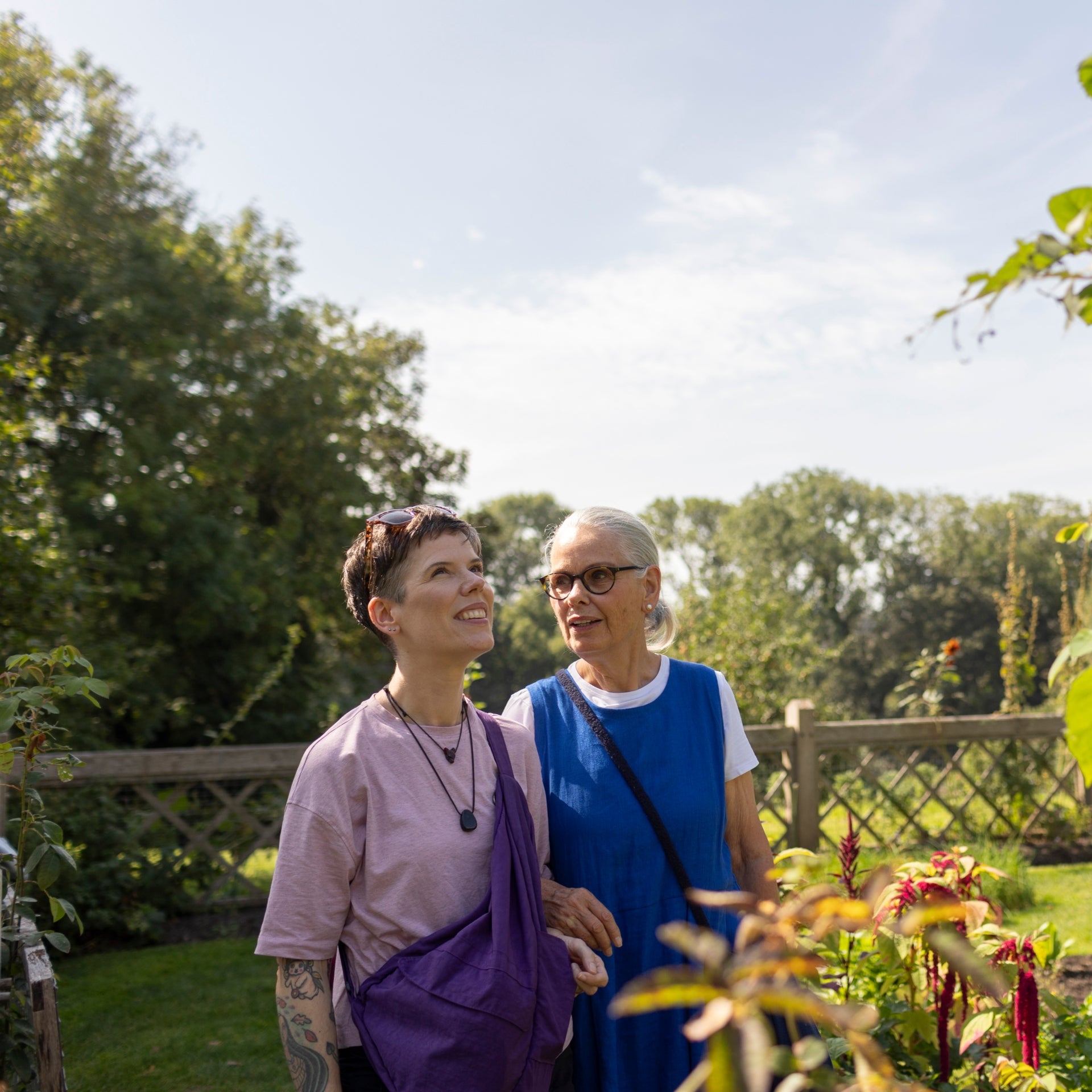 Glendurgan Garden | Cornwall | National Trust