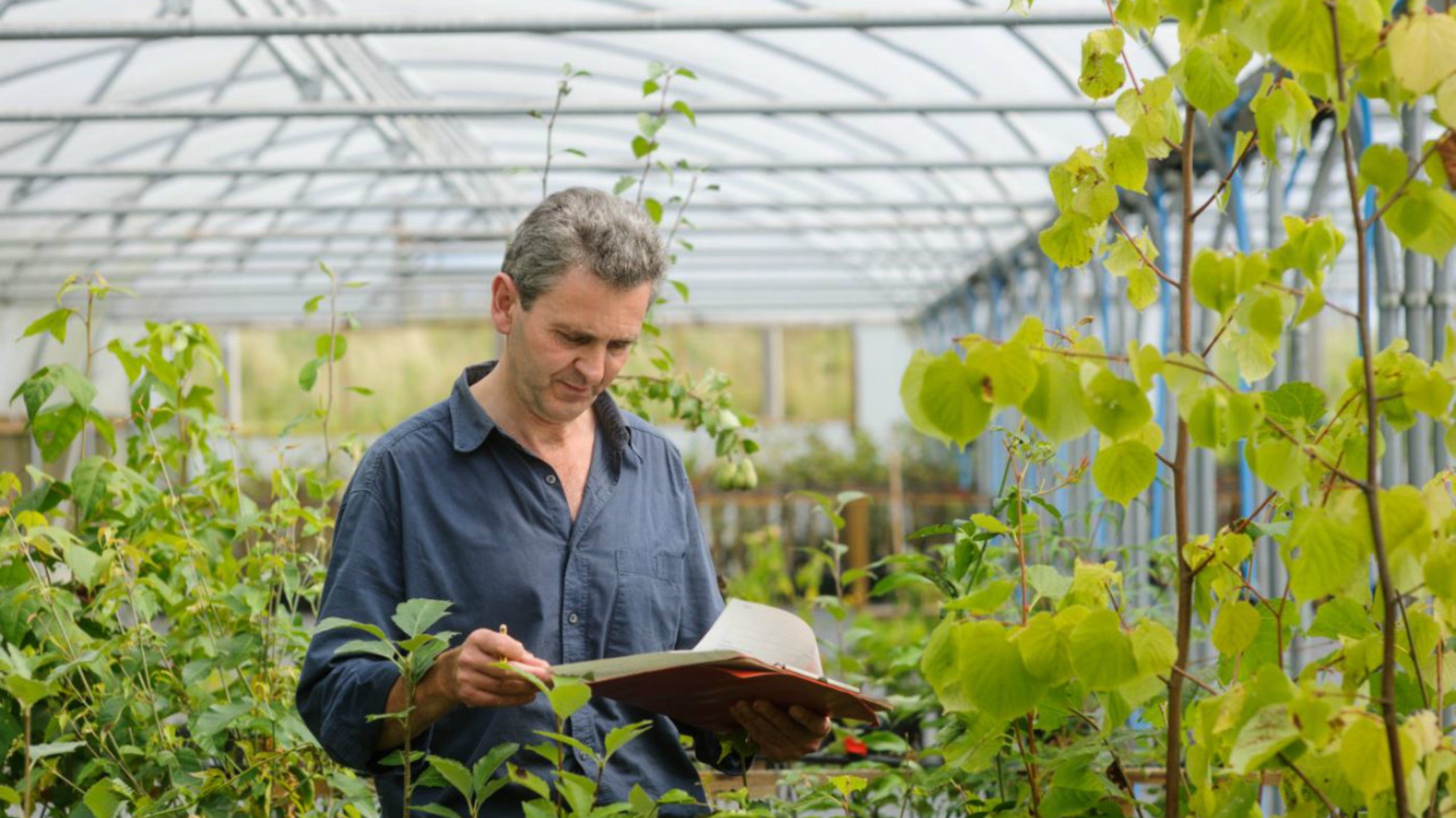 About us: what is the National Trust? | National Trust