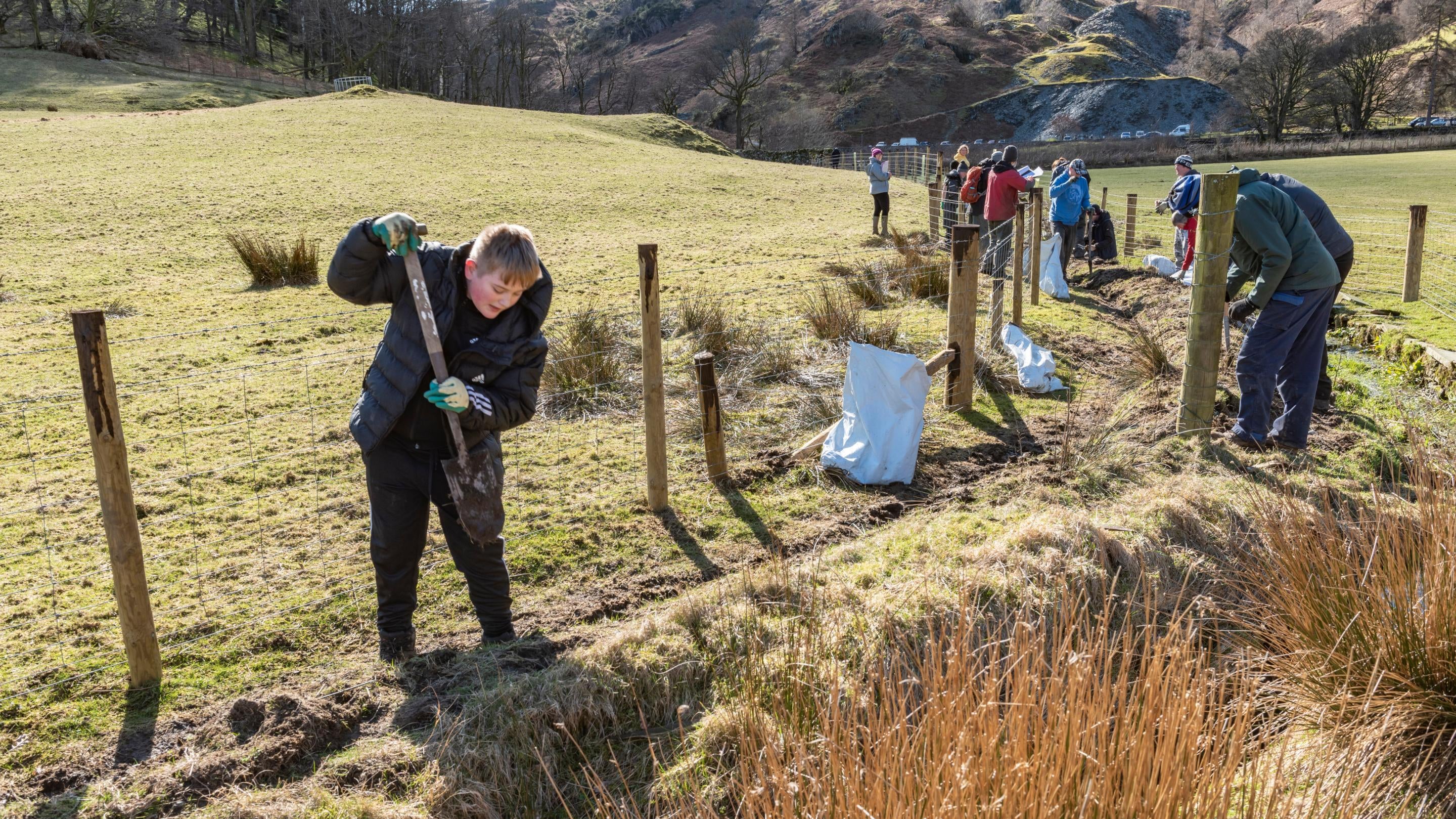Going peat free | Gardening tips | National Trust