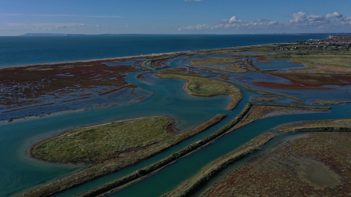 Medmerry Nature Reserve | Climate change | National Trust
