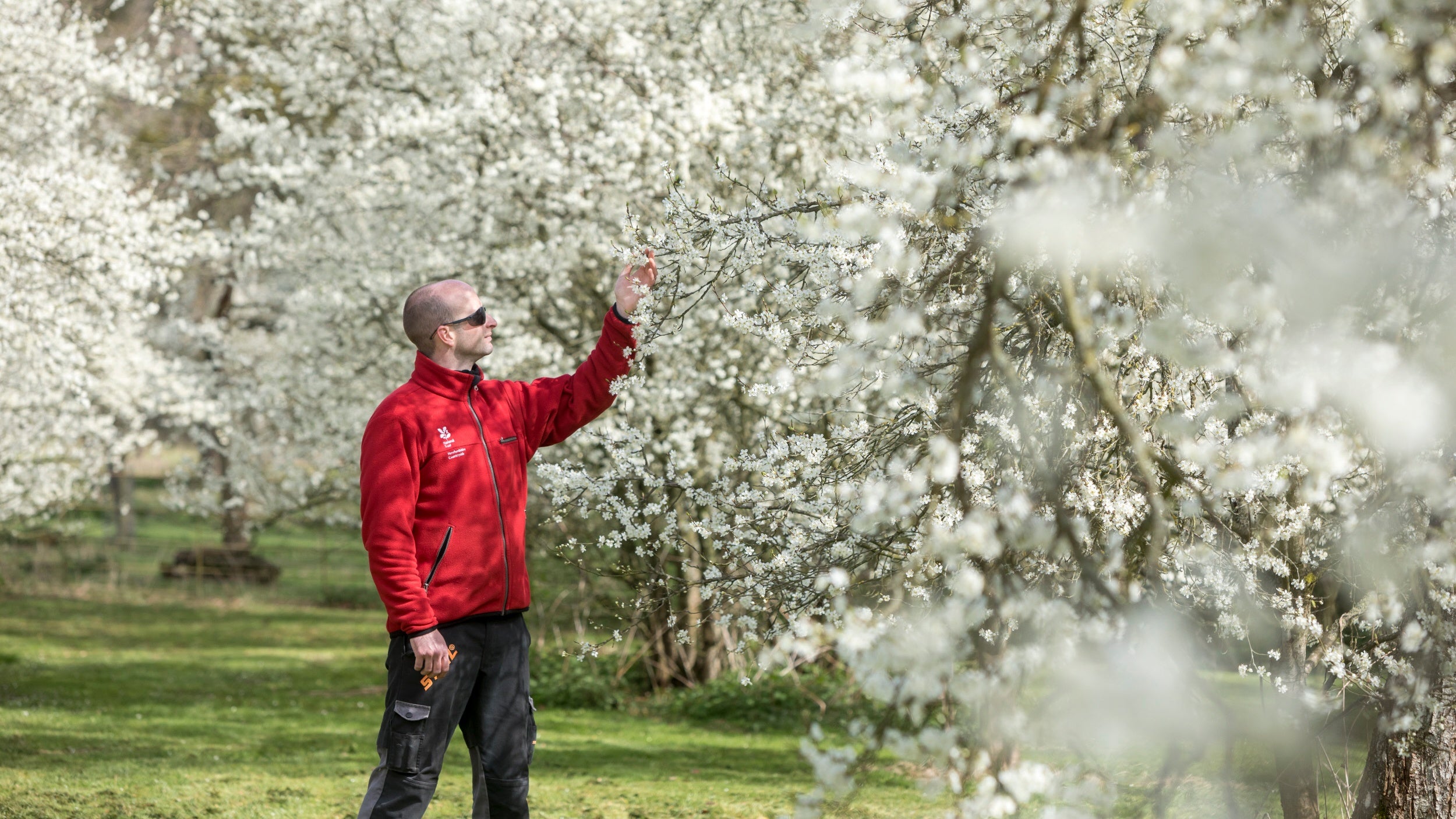 What does the National Trust do? | National Trust