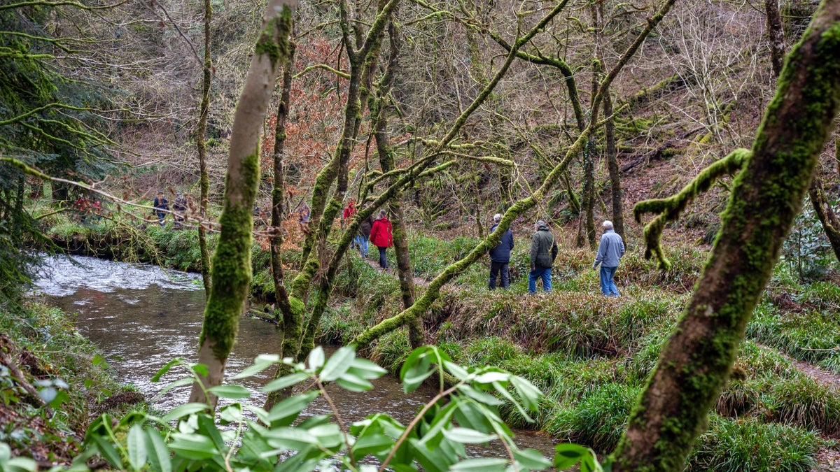 Countryside areas in Devon | South West | National Trust