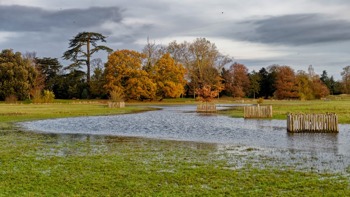 Donate to our climate appeal today. | National Trust