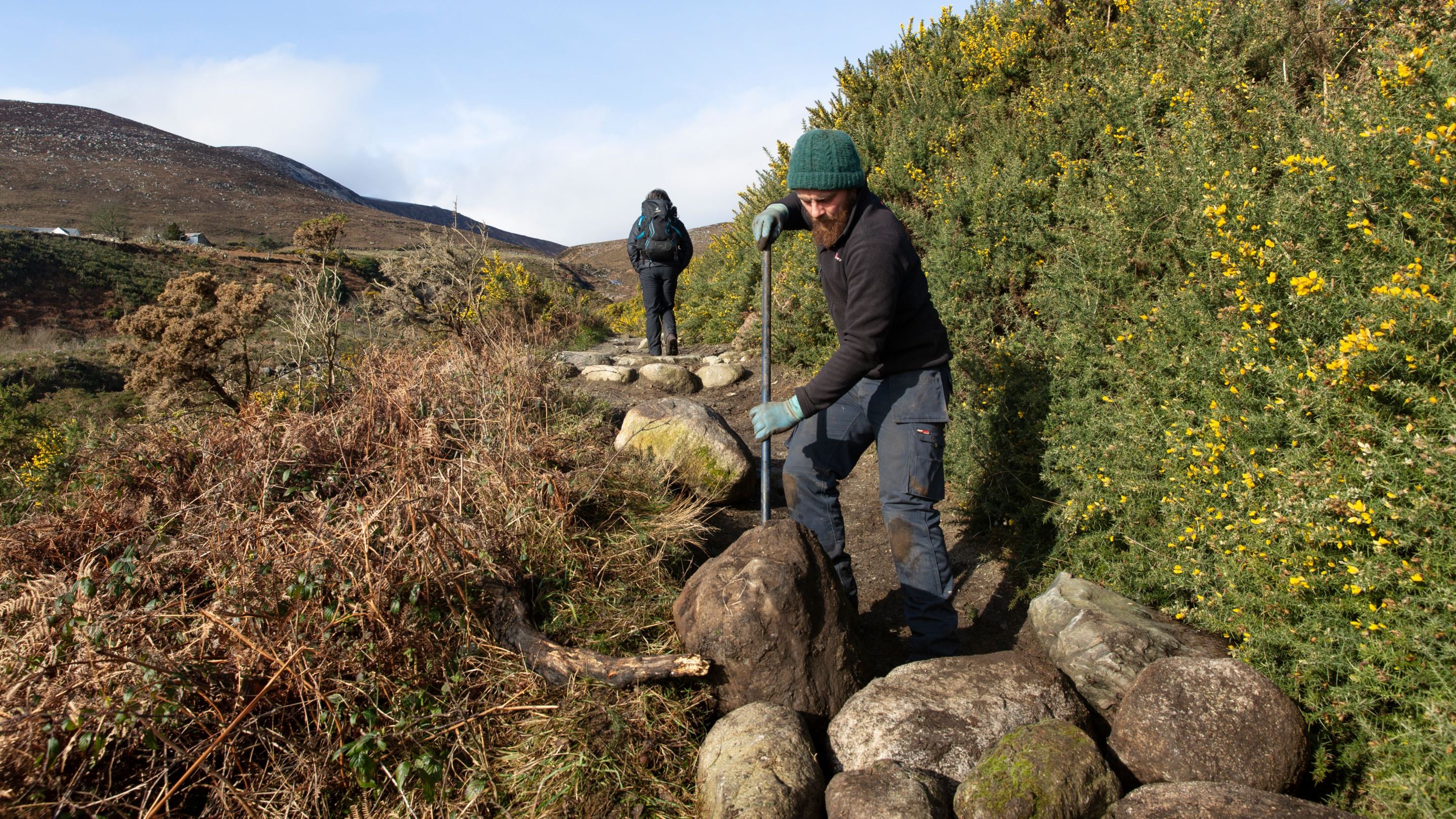 Current charity appeals and urgent causes | National Trust